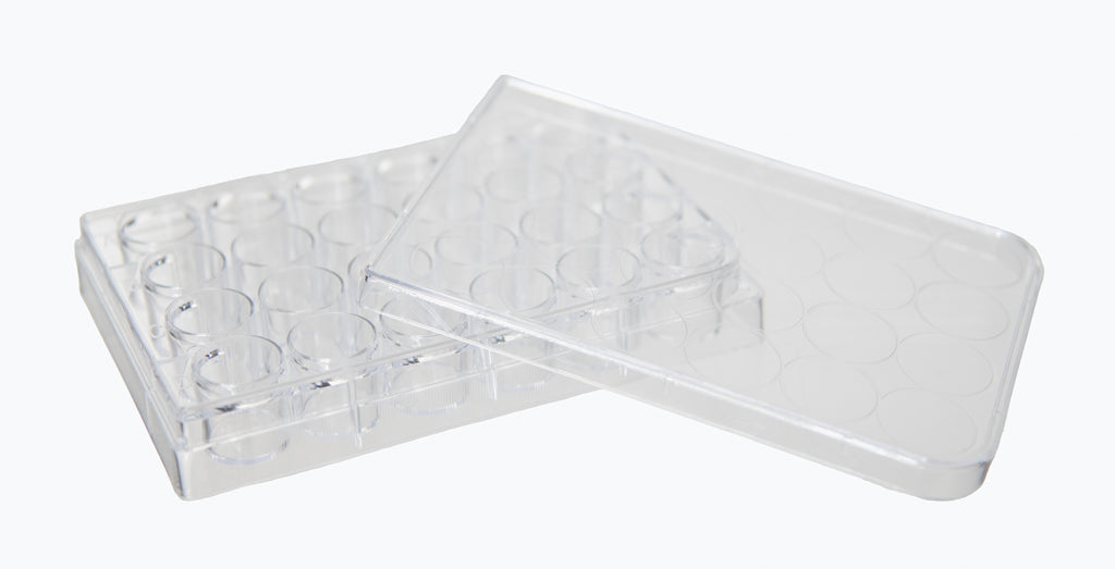 GSC International Microplate with 24 Wells and Lid, Clear Polystyrene